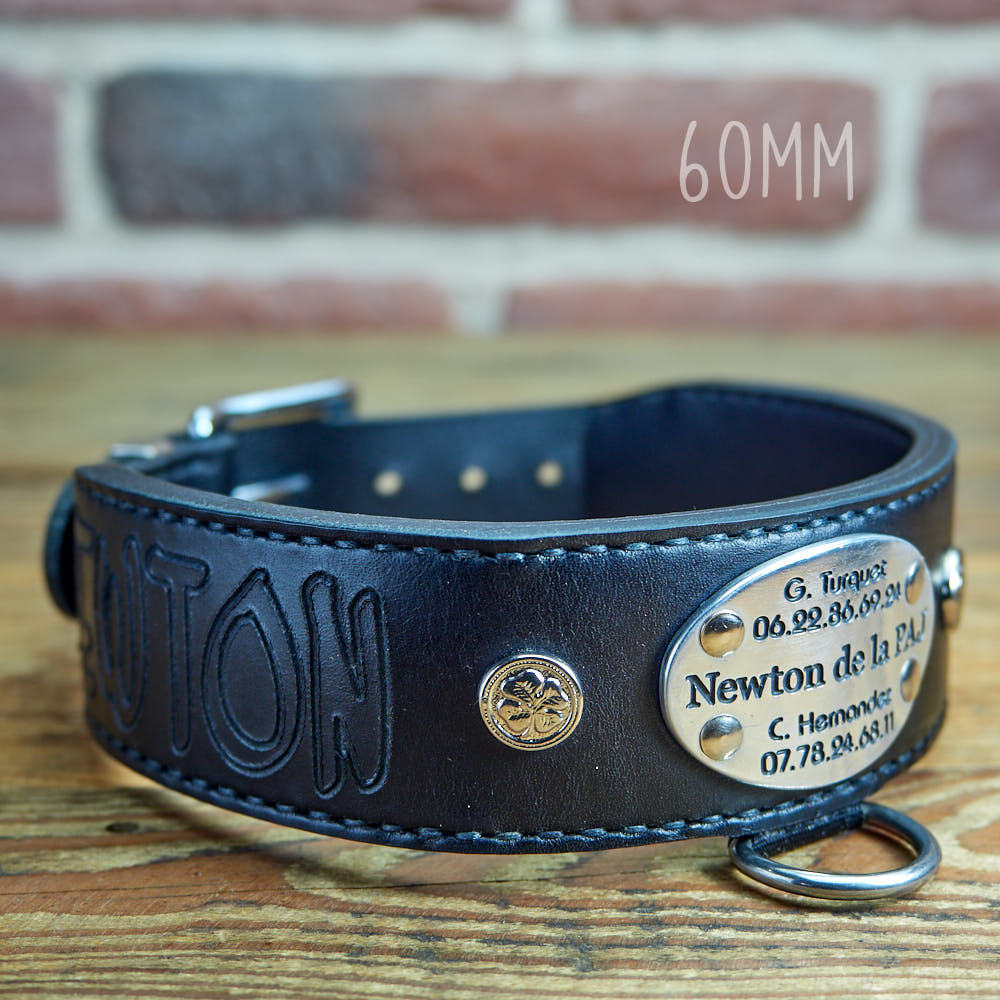 Custom Leather Collar with Name and DogTag – Slade Czech