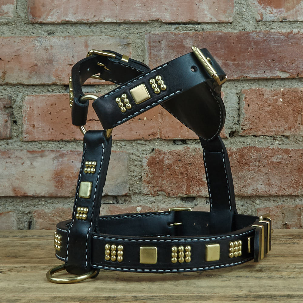 Gladiator Leather Dog Harness – Style, Strength, and Comfort Combined!