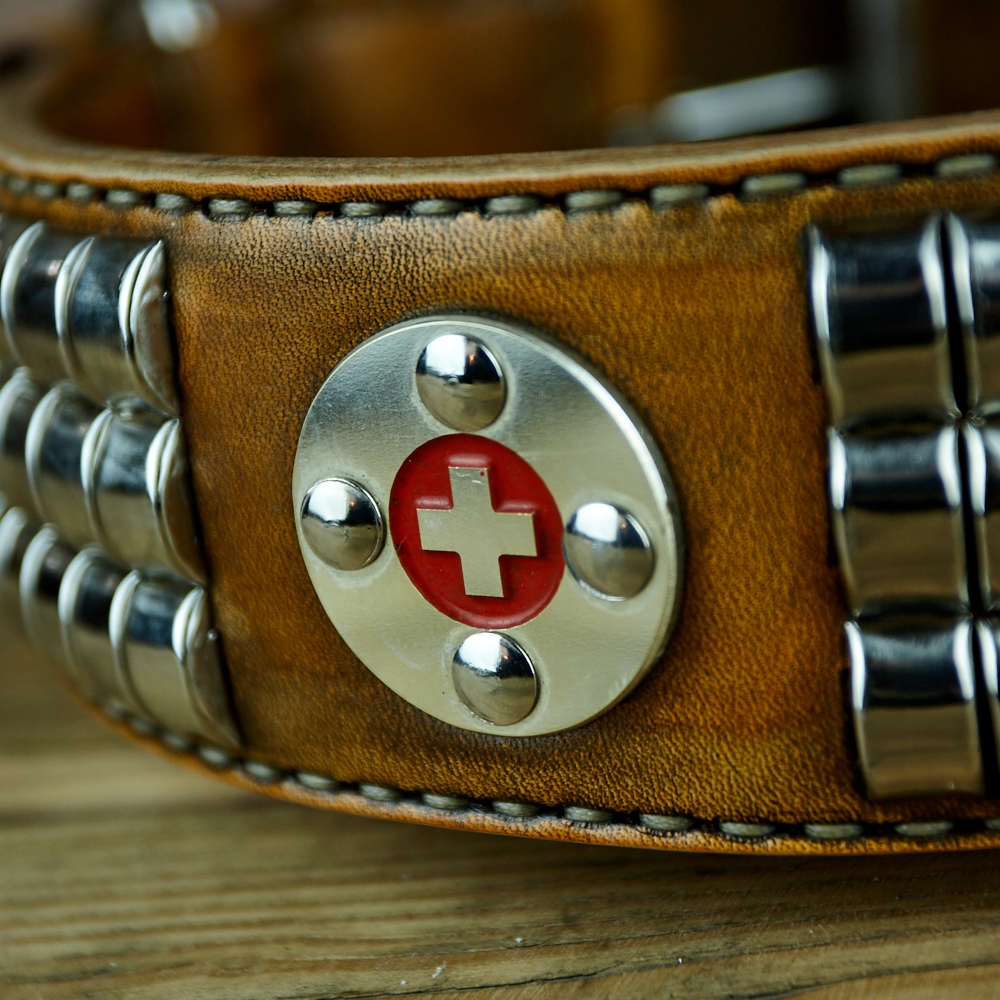 Bandit – Heavy-Duty Collar for a Power Staffy | Slade Czech