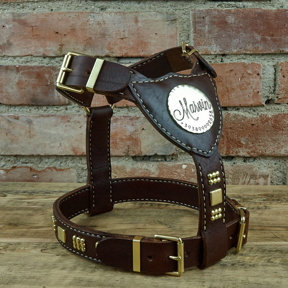 Gladiator – Leather Harness for Staffordshire Bull Terrier | Slade Czech