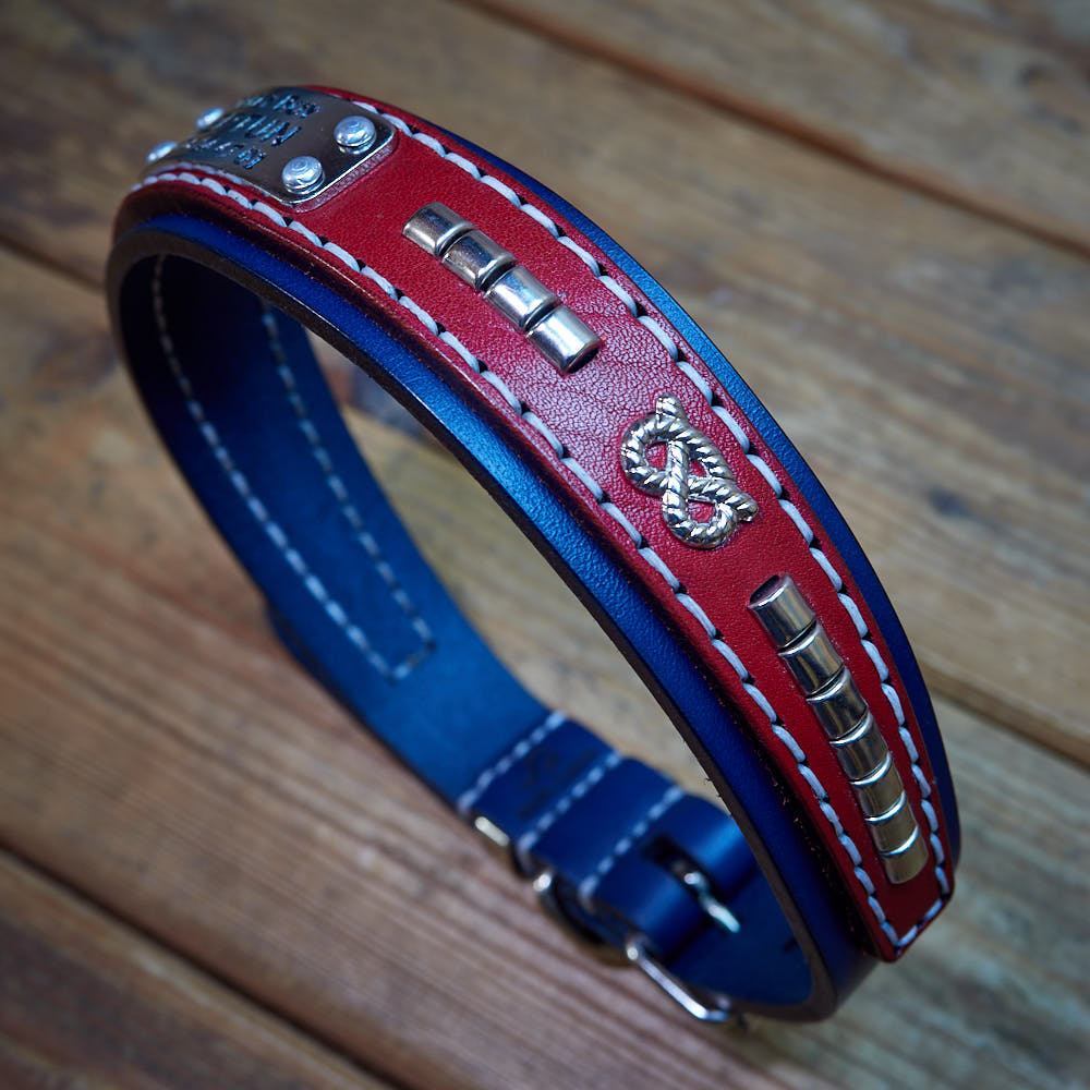 Unique Funky Paws Dog Collar: Custom Colors, ID Tag & Total Style