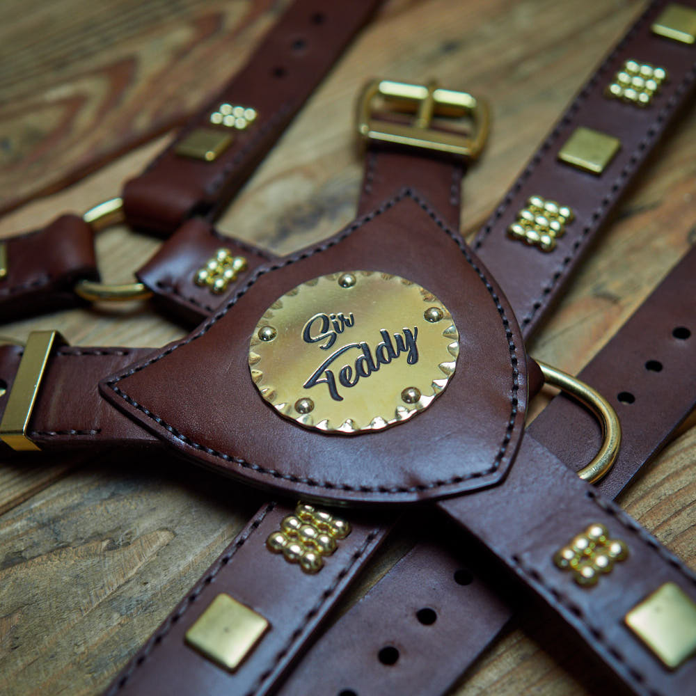 Gladiator Leather Dog Harness – Style, Strength, and Comfort Combined!