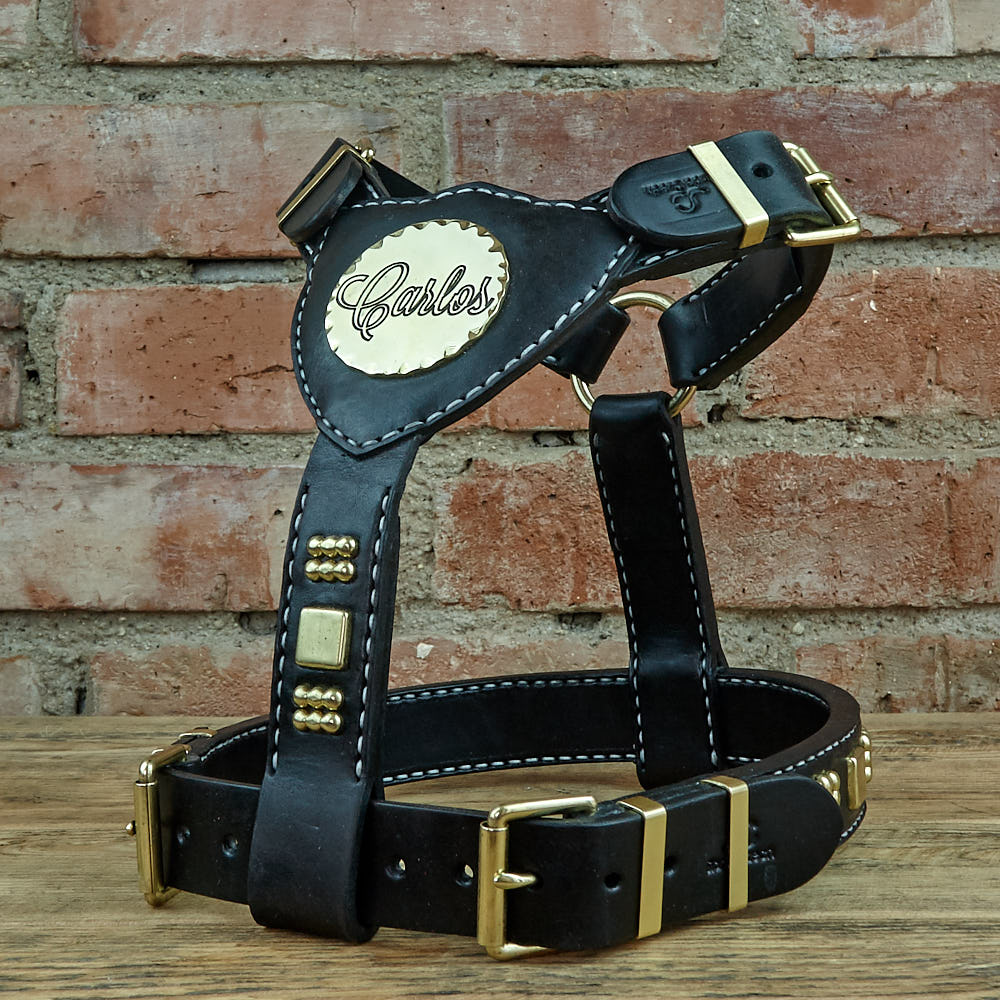 Gladiator Leather Dog Harness – Style, Strength, and Comfort Combined!