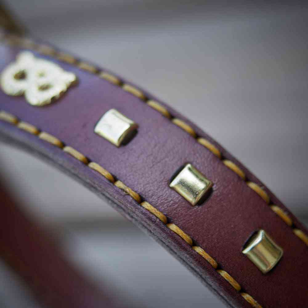 Pourquoi les coutures d’un collier lâchent avant le cuir et pourquoi