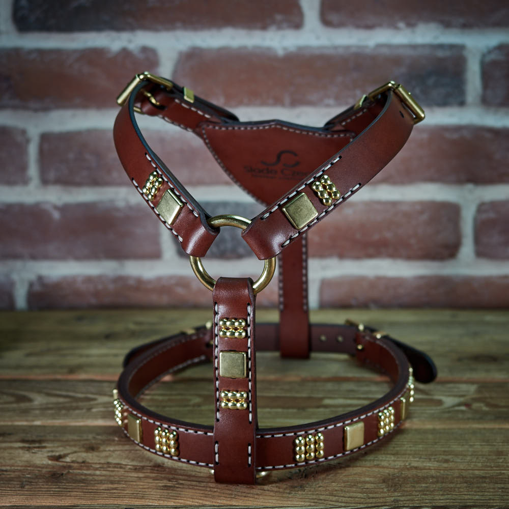 Gladiator Leather Dog Harness – Style, Strength, and Comfort Combined!